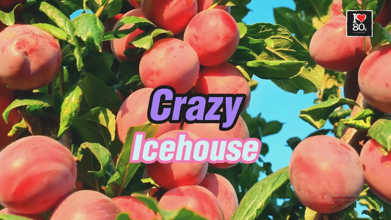 Icehouse - Crazy [Karaoke New Wave HD] - YouTube