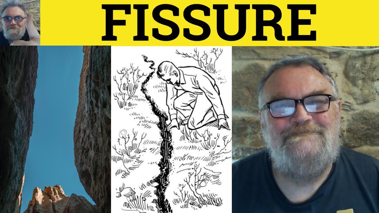 🔵 Fissure Meaning - Fissure Examples - Define Fissure - Noun and Verb ...