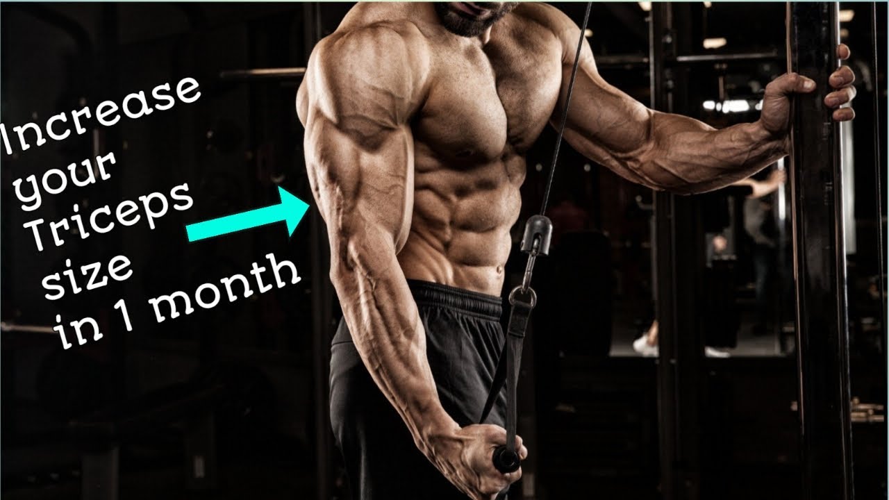 HOW TO INCREASE YOUR TRICEPS SIZE IN 1 MONTH - YouTube
