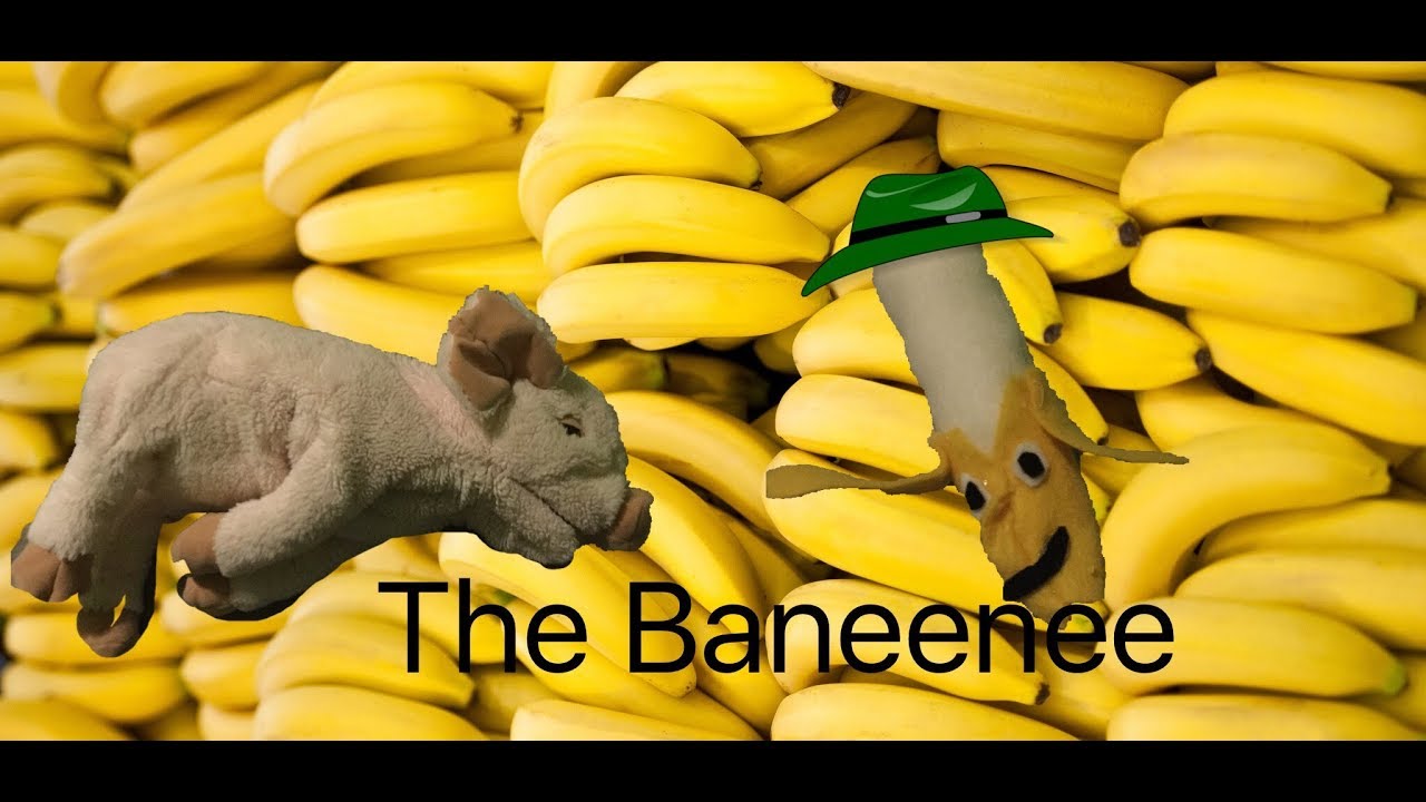 The Baneenee - YouTube