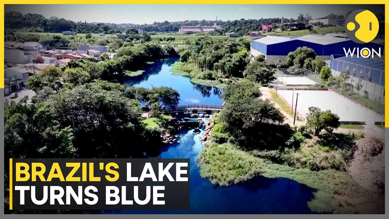 Brazil's Sao Paulo Lake Turns Blue After Accidental Dye Spill |World ...