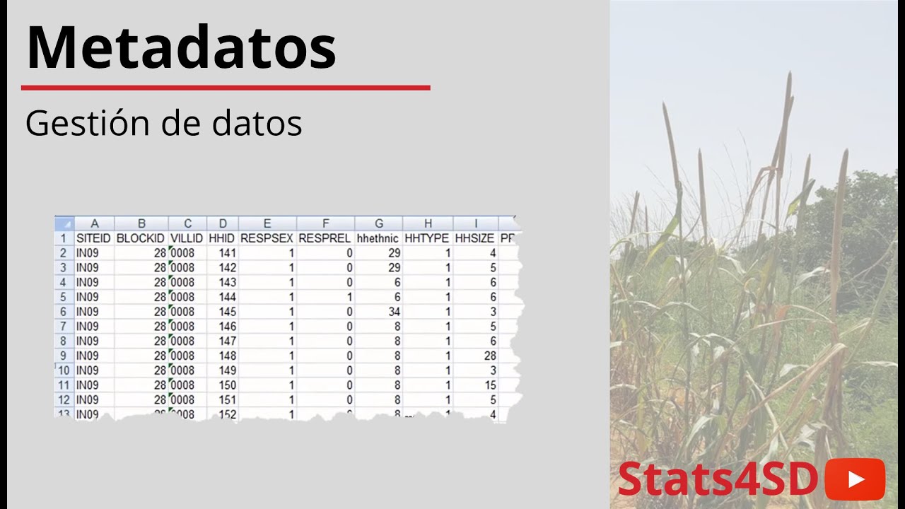Gestión de datos: Metadatos - YouTube
