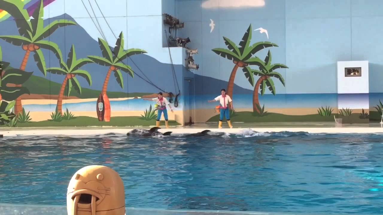 Yokohama Hakkeijima Sea Paradise Japan (2) 2015 - YouTube