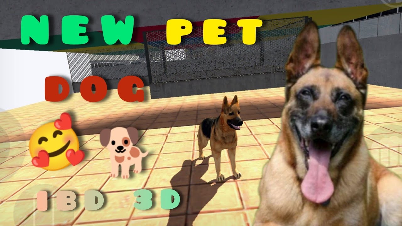 IBD 3D : I BROUGHT A NEW PET DOG 🐕🐕🐕🐕🐕 🥰🥰🥰🥰🥰 # 12 WEB SERIES - YouTube