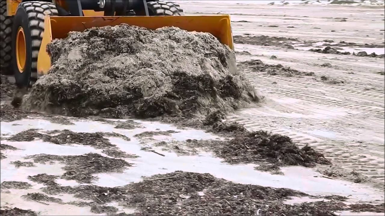 Texas Beach Scraping - YouTube