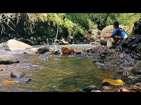Aliran Sungai Sangat Asri/the sound of running water goodbye insomnia 5 ...