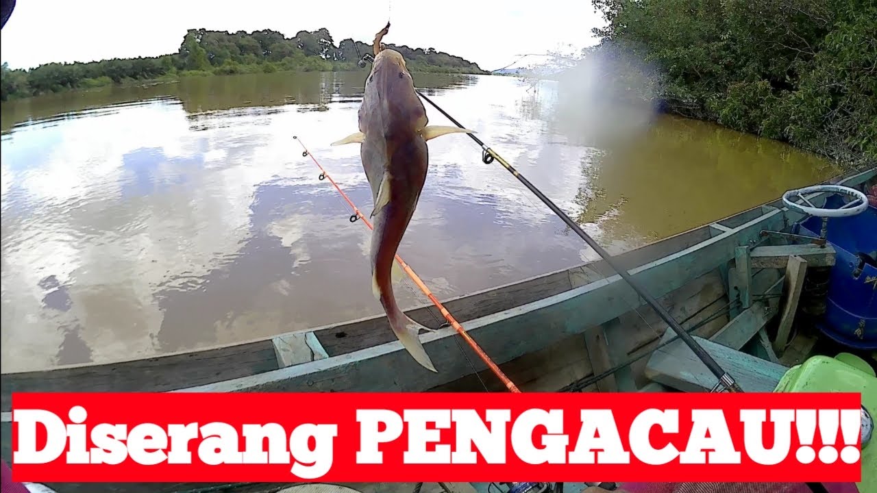 gerombolan pengacau!!! - YouTube