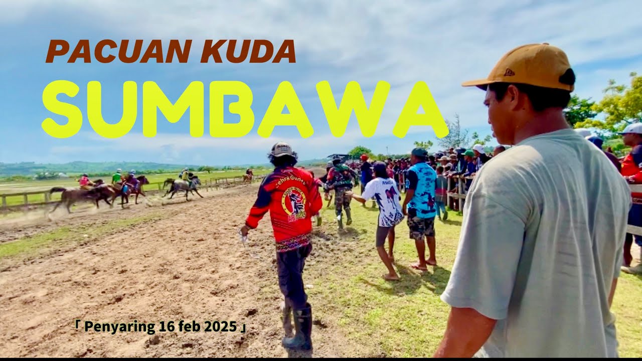 Joki Cilik & Kuda Perkasa: Drama Seru Pacuan Kuda Sumbawa - YouTube