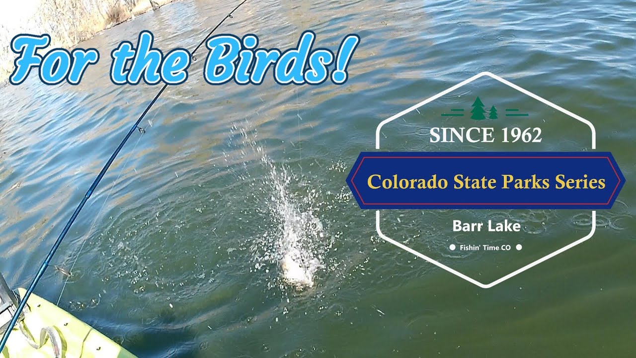 Colorado State Parks Series: E2 Barr Lake #fishing - YouTube