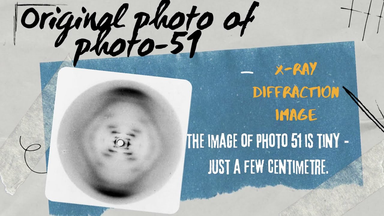Photo-51 | What’d you learn today? |sciencekudi #RosalindFranklin #DNA ...