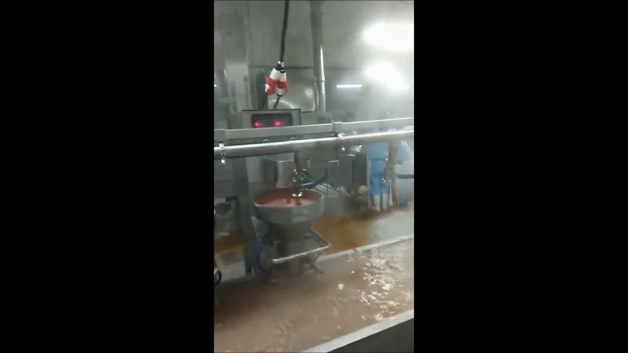 Meat Ball & Fish Ball Forming & Cooking & Cooling Production Line - YouTube