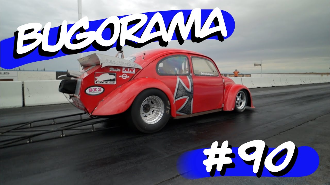 The Last & Final Bugorama 😢 - YouTube