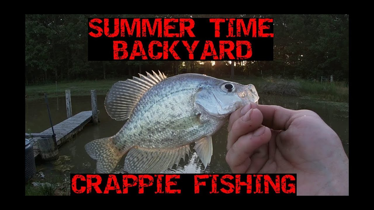 Summer Time Backyard Crappie Fishing. - YouTube