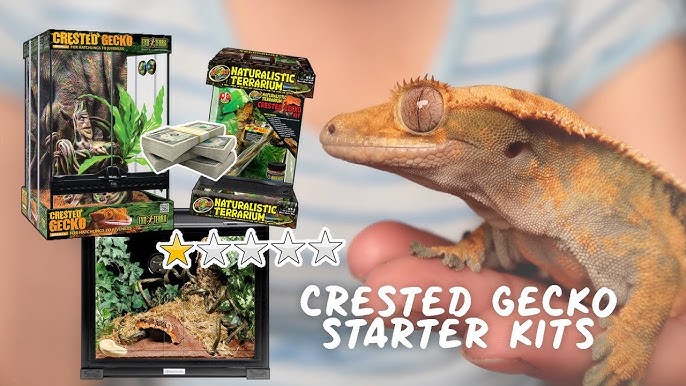 Leopard Gecko Habitat Kit