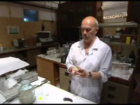 Искусство курортного вскармливания