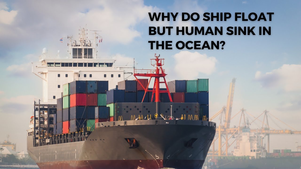 Why do ship float but human sink in the ocean? - YouTube