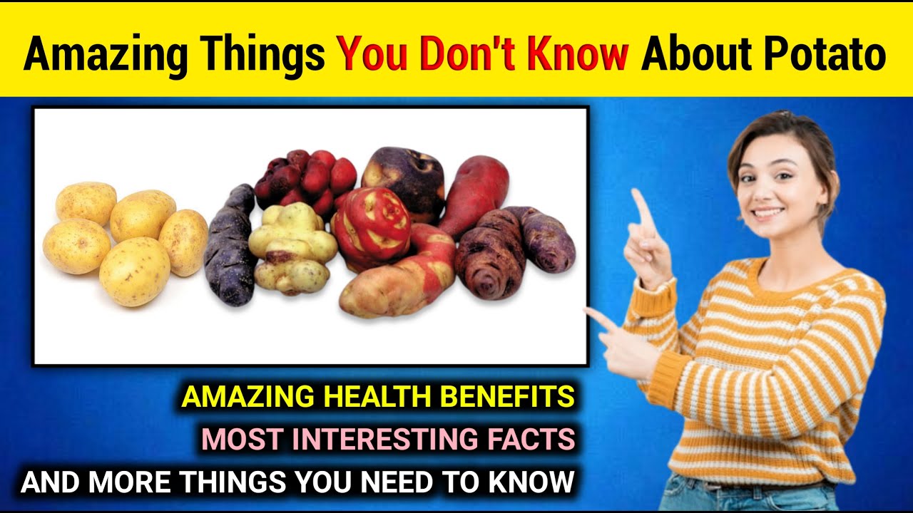 Potato Amazing Facts | Potato Benefits | Potato Recipe | Potato Health ...