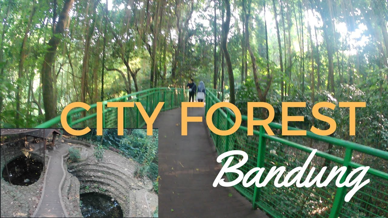 City Forest Walk| Jalan-jalan di Hutan Kota Bandung Kondisi Terkini ...