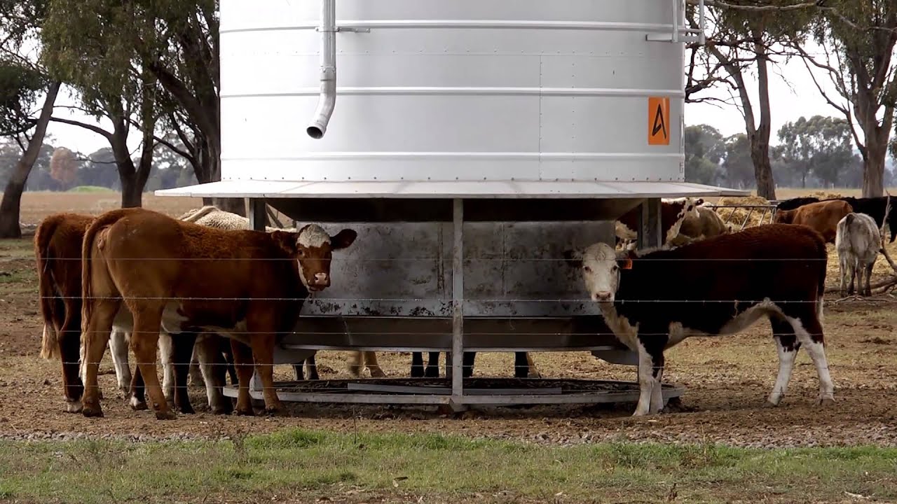 CopRice Corporate Video (Division of SunRice) - YouTube