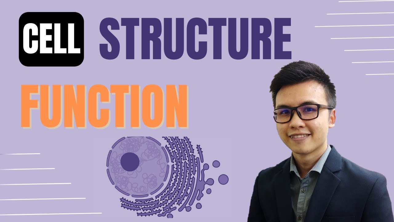 SPM BIOLOGY l Chapter 2.1 Cell structure and Function (Animal Cell) l ...