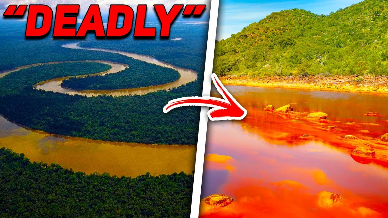 Why the Amazon River is the most deadly body of water on the Earth ...