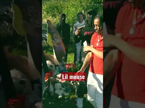 Lil mouse from Chicago 🚦