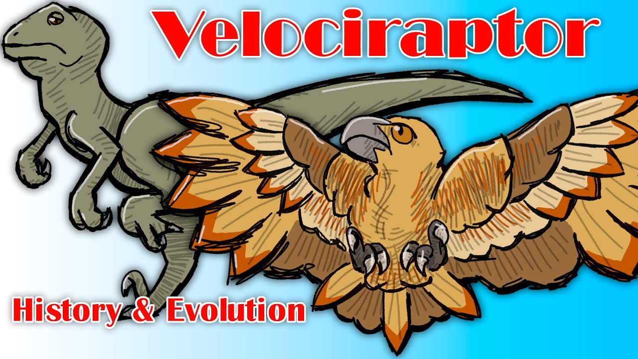 History of Velociraptors and What If They Survived? - YouTube