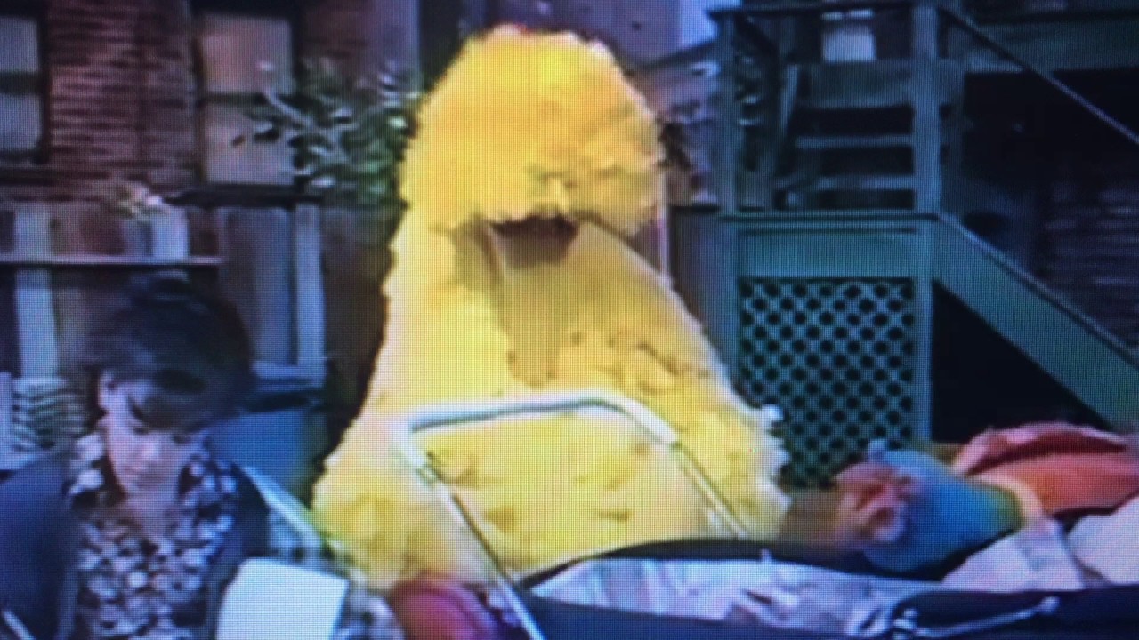 Christina Mistreeta's favorite part from Sesame Street episode 3849 - YouTube