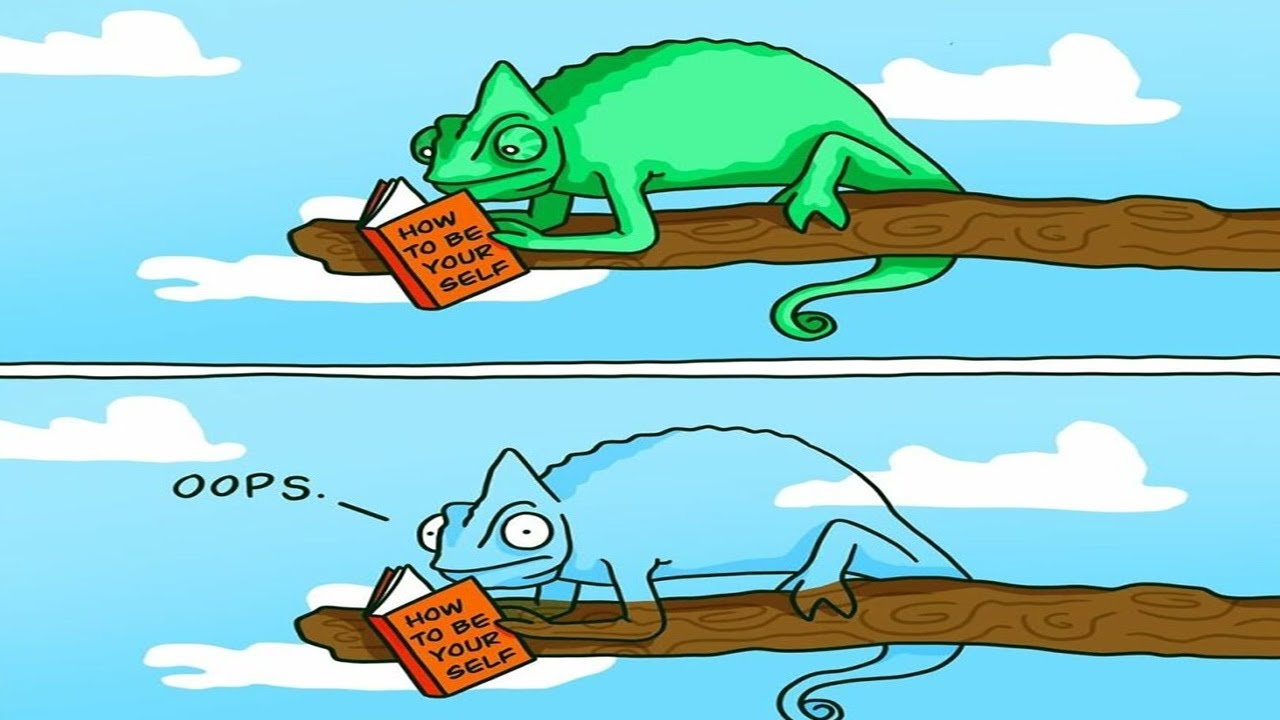 Funny And Relatable “Anxious Animals” Comics - YouTube