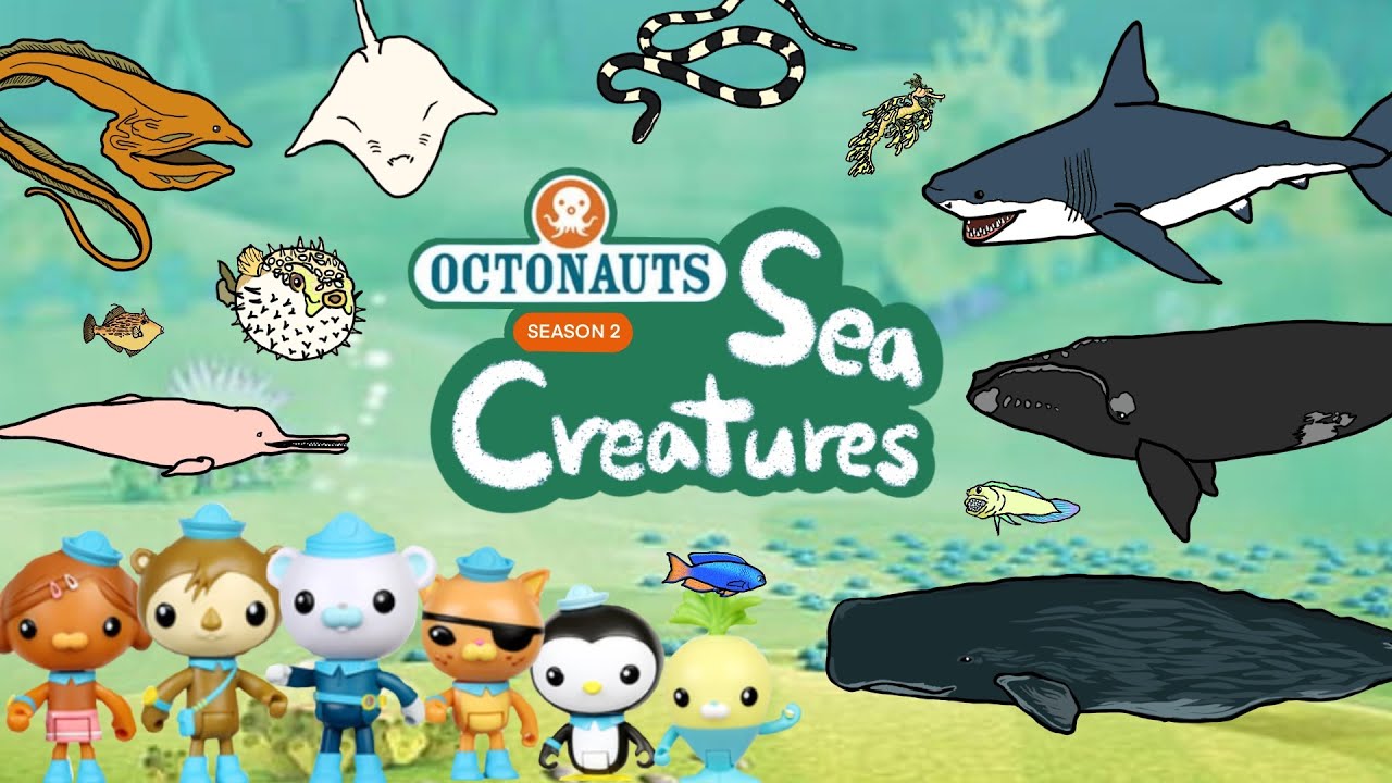 Octonauts sea creatures 3 | Sea animals in the Octonauts season 2 | Kids Draw - YouTube