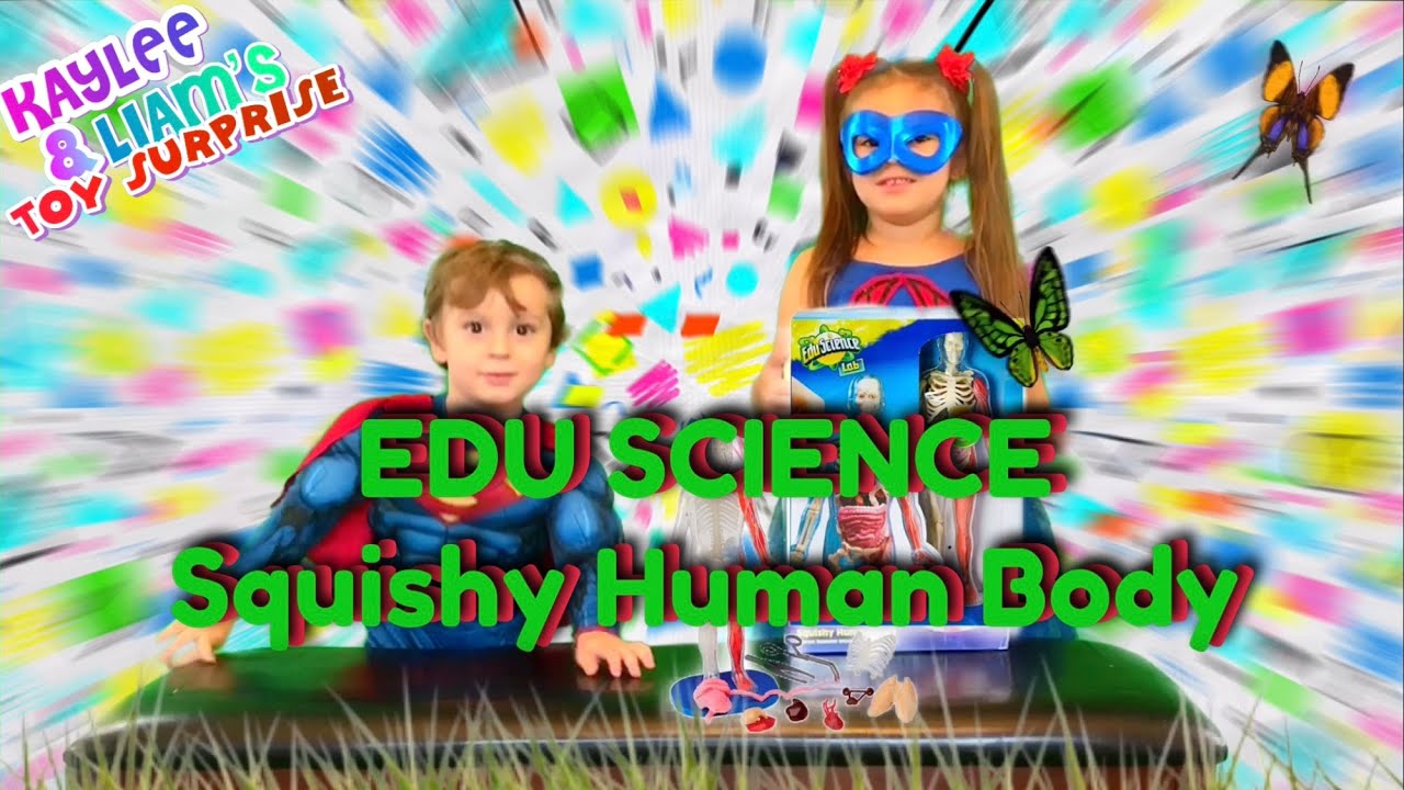 Squishy Human Body Toy - YouTube