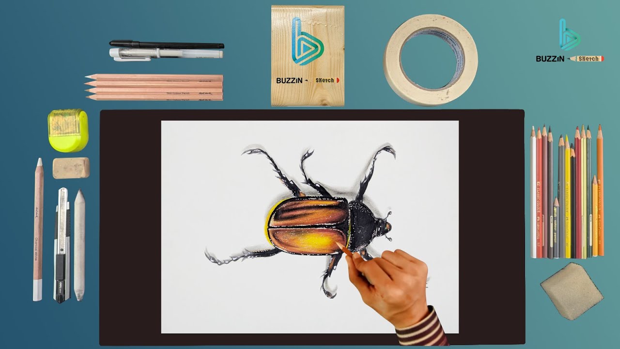 How to Realistic Draw a Beetle With Pencil in 3D | How to Draw a Beetle ...