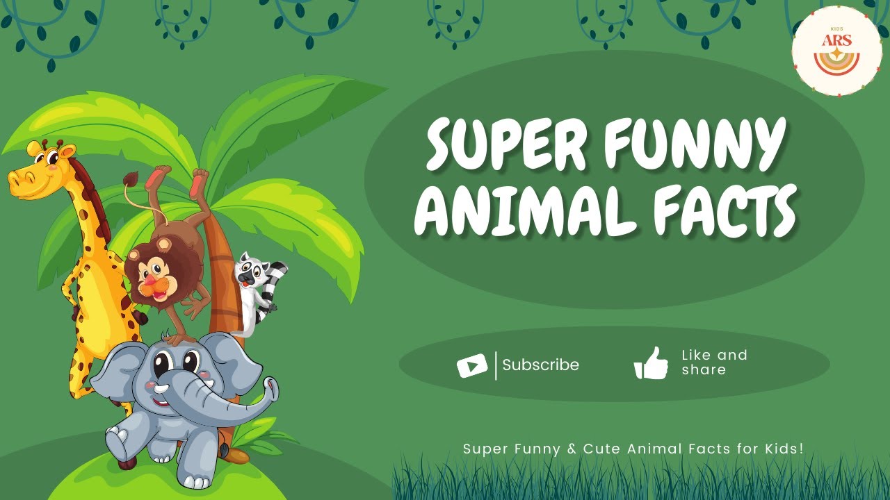 Super Funny & Cute Animal Facts for Kids! - YouTube