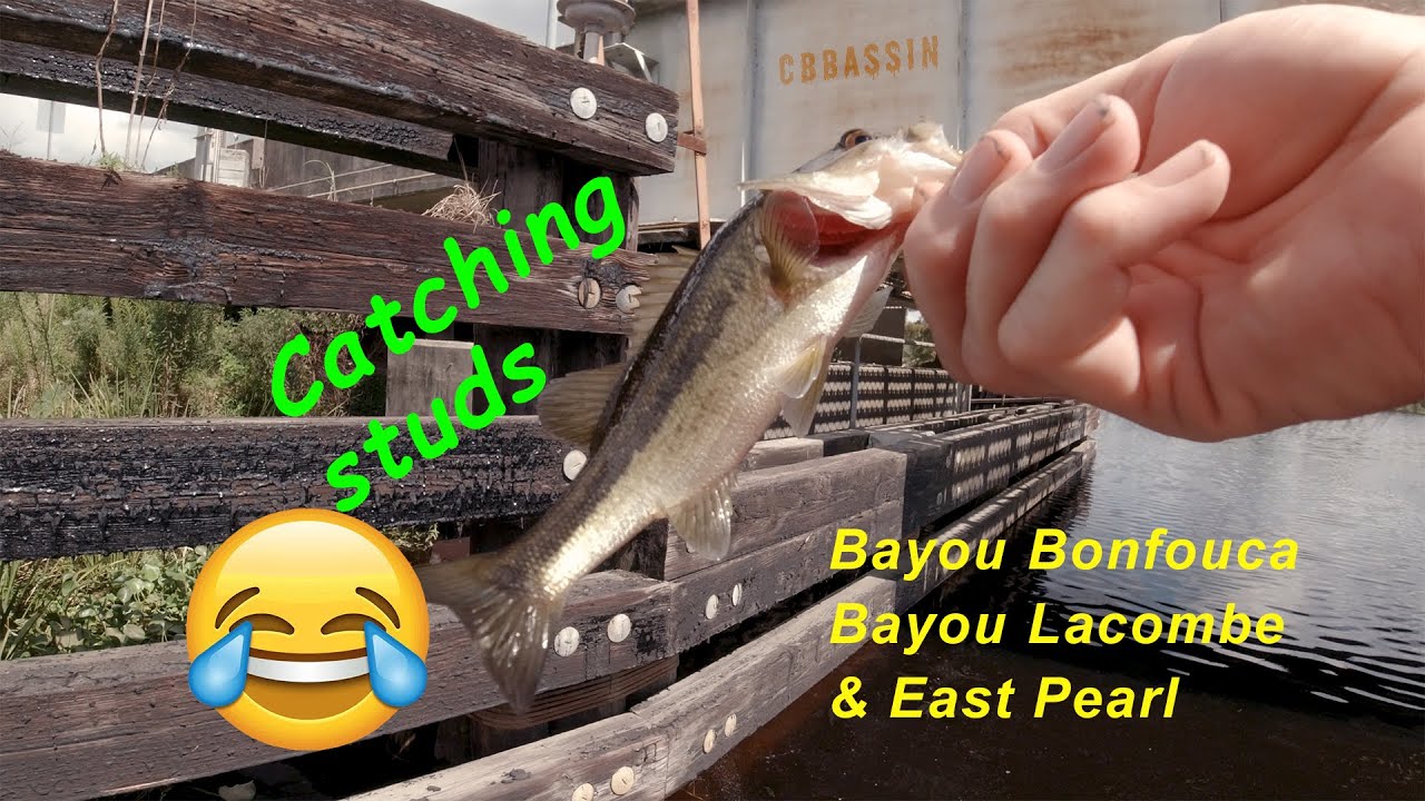 Three TOUGH but GOOD days on Bayou Bonfouca, Bayou Lacombe, and East ...