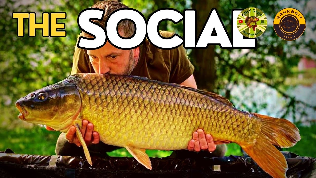 Carp Fishing Social at Milton Pools near Linear Fisheries with BANK ...
