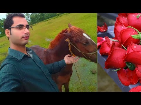 Live streaming Now BINOY VLOG CREATION - YouTube