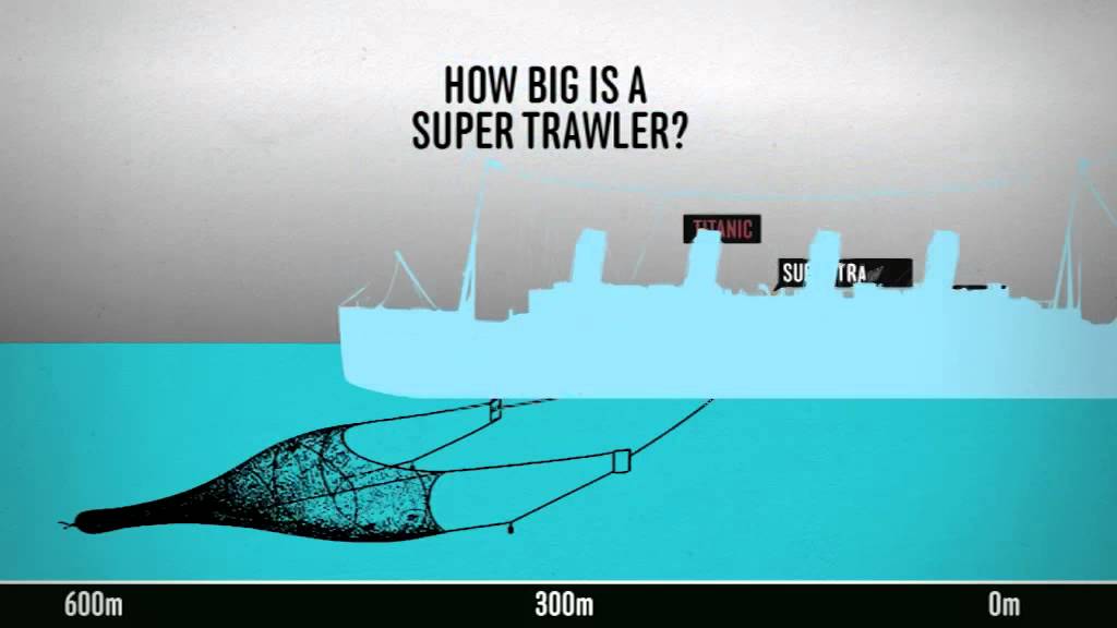 How Big Is A Super Trawler - YouTube