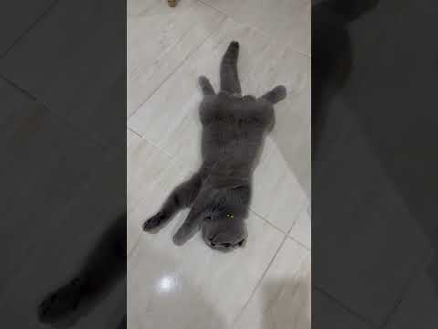 Oy bu ne sıcak yarabbi😲