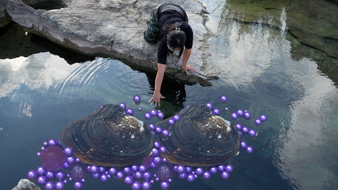 😱😱Under the deep pool, giant clams spit out countless purple pearls ...