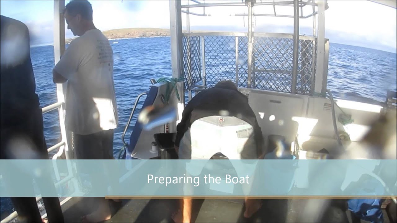 Rodney Fox 2013 HD - YouTube