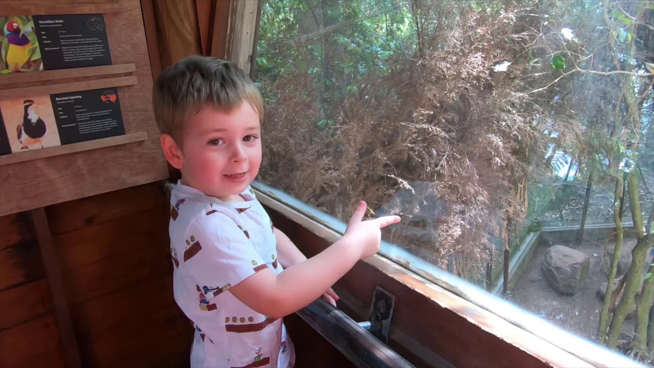 Emmett at Blackbutt Nature Reserve Featuring little brother Lincoln ...