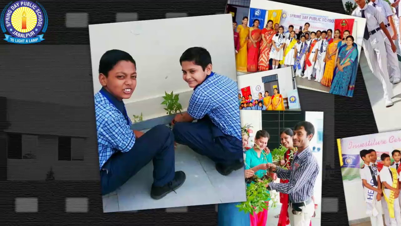 Spring Day Public School Jabalpur Success path - YouTube