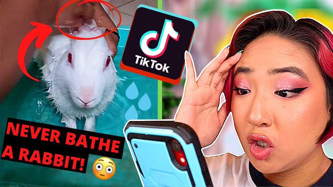 PET YOUTUBER REACTS TO AWFUL RABBIT TIK TOKS! (BATH EDITION) // Don't ...