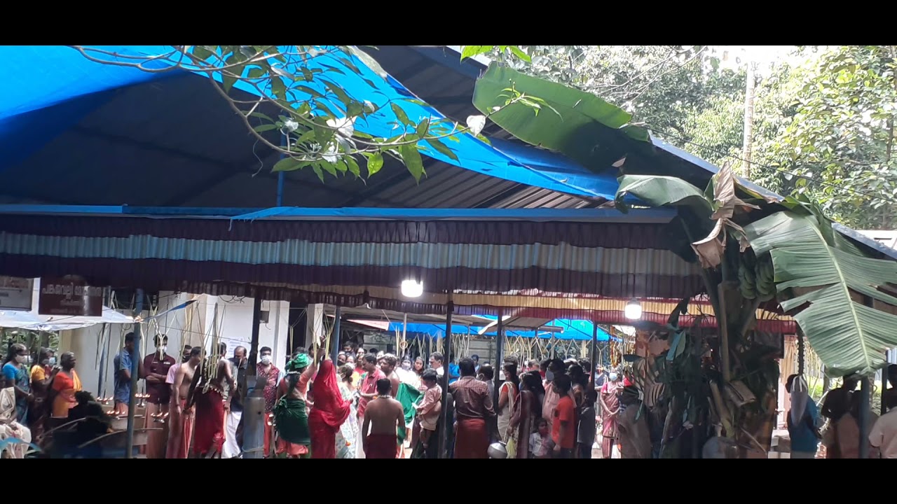 സർപ്പം തുള്ളൽ |sarpam thullal| - YouTube