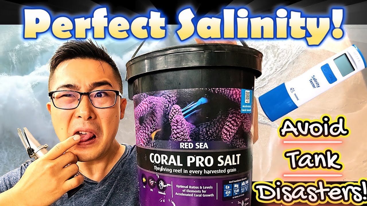 Perfect Salinity for Reef Tanks Revealed! 🌊 - YouTube