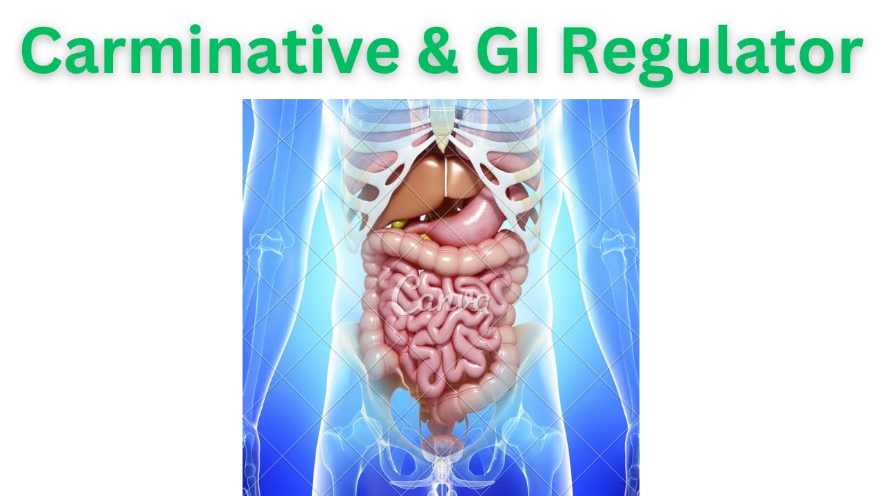 carminative & GI regulator - YouTube