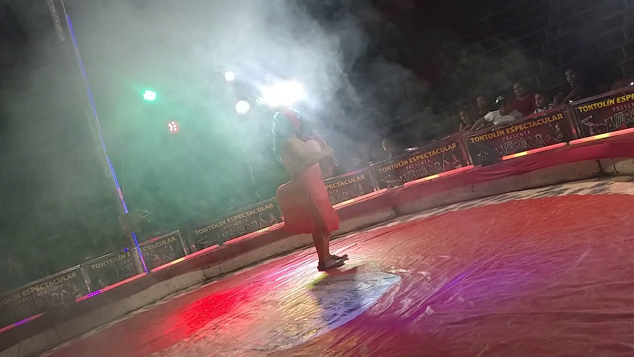 Circo tontolin🤣 - YouTube