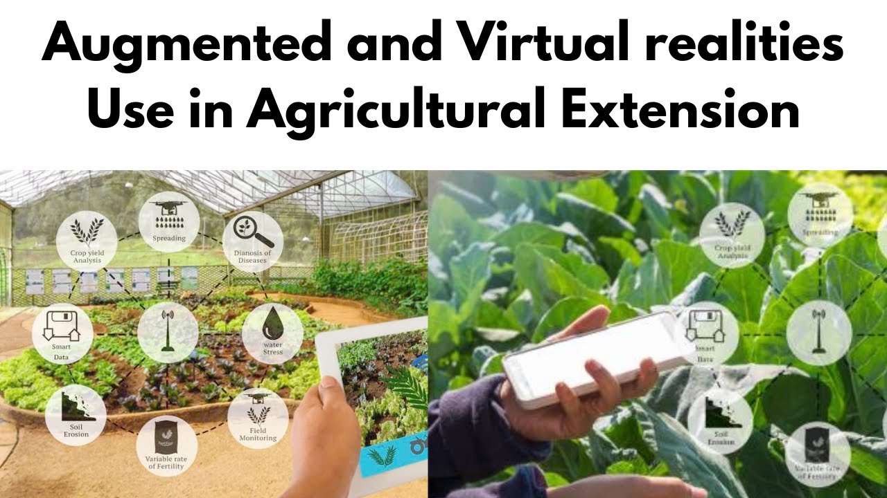 How Augmented and virtual realities Use in Agricultural Extension and ...