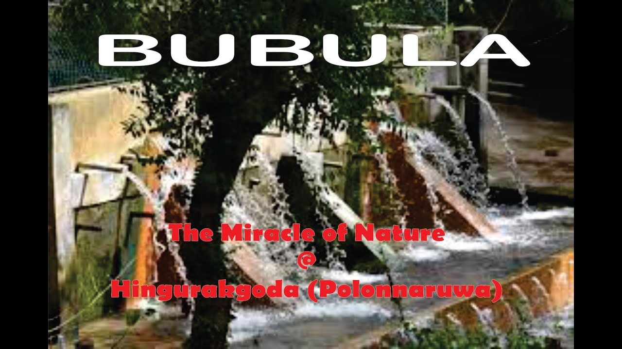 Miracle of Nature, Bubula Hingurakgoda - YouTube