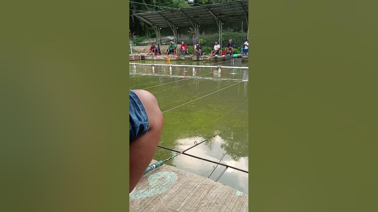 Mingguan Nya Kita || Lomba Mancing Ikan Mas - YouTube